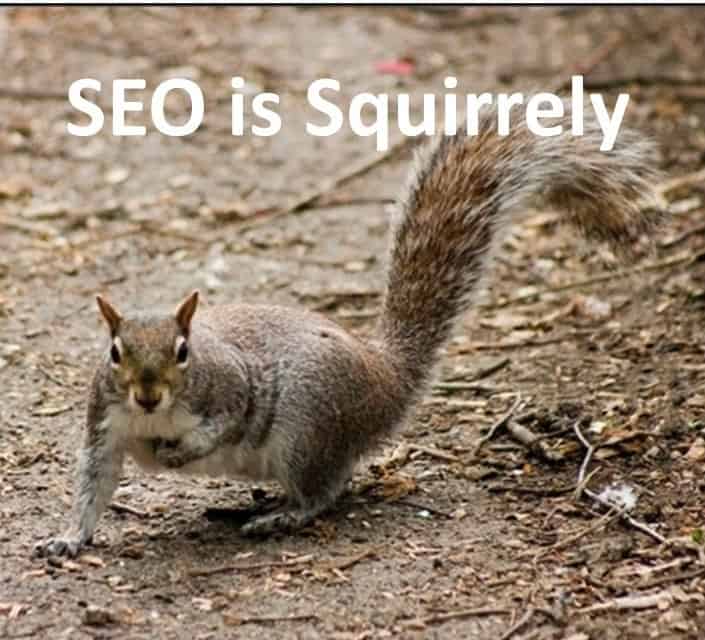 The Real Reason SEO Is So Squirrely